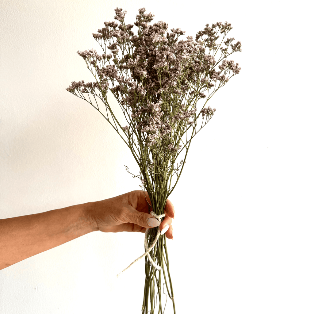 pink limonium oshi dried flower bunch – houseoflilac